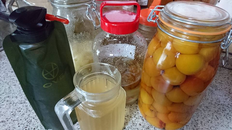 Ume Sports Drink – KitchenNippon