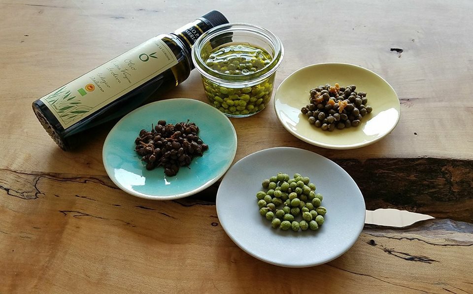 Japanese Pepper Workshop – KitchenNippon